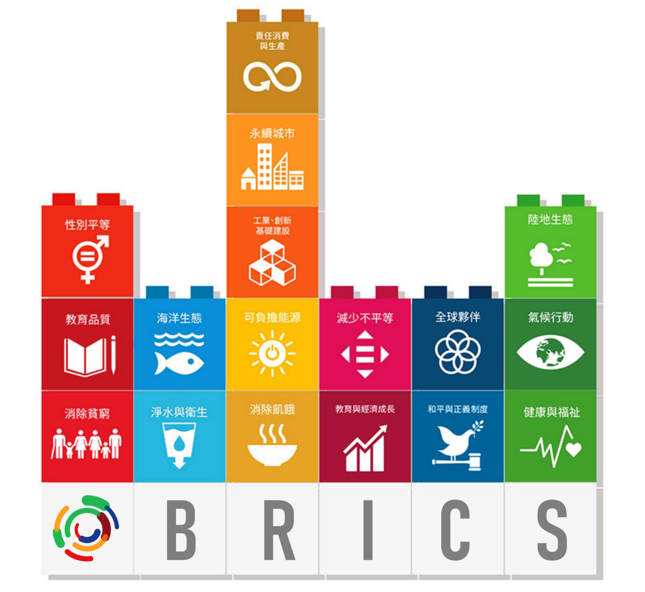 Projects – 金砖国家联盟(BRICS IASP)